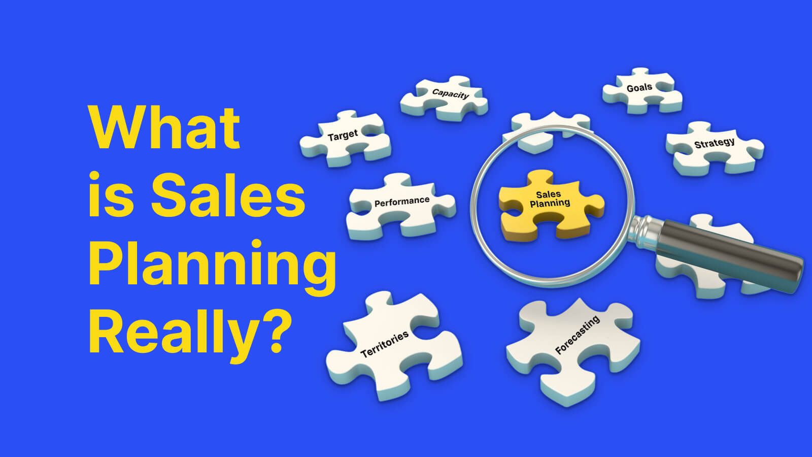 What is Sales Planning Really?